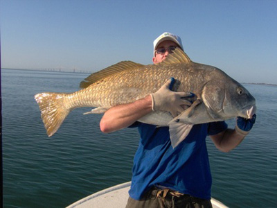 Case Study – The Great Catch